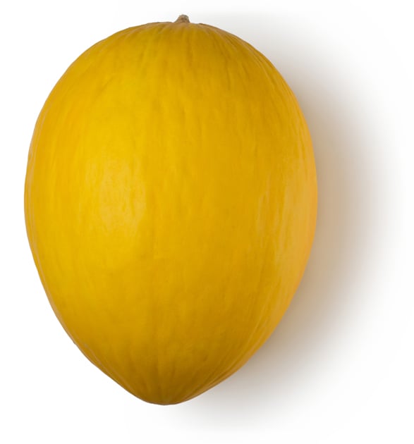 Fresh Honeydew Melon Pulp | LUSH