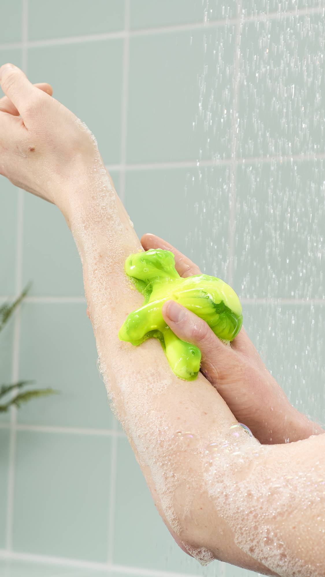 Turtle | Shower Jelly | LUSH